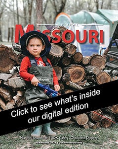 Home | Association of Missouri Electric Cooperatives