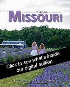 Home | Association of Missouri Electric Cooperatives