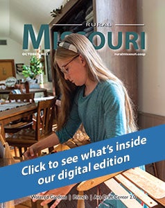 Home | Association of Missouri Electric Cooperatives